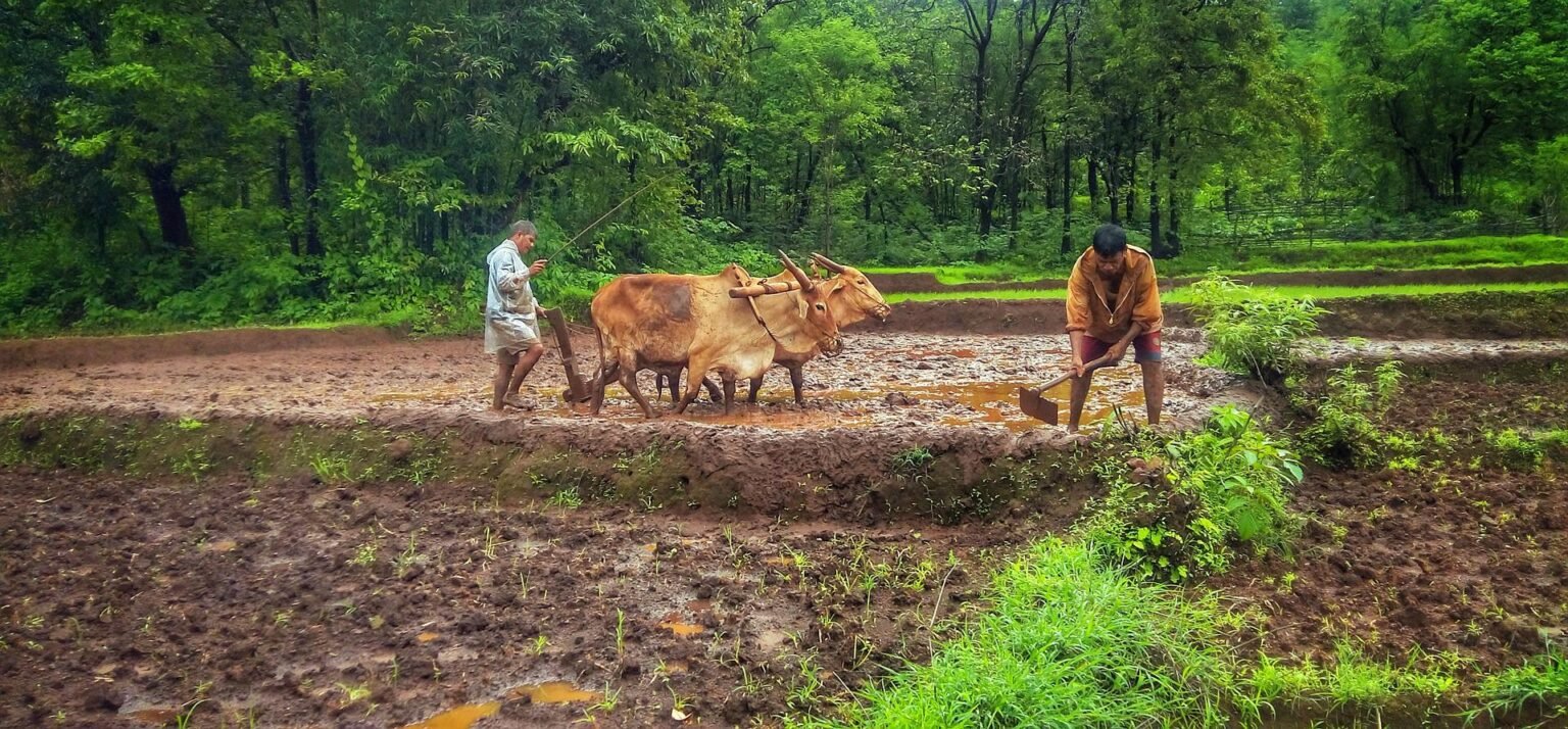 Here’s what awaits you in Goa’s most glamorous neighborhood – Assagao